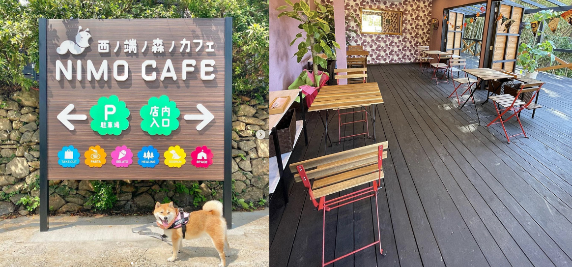 冬はこたつのあるカフェ？？西の端の森のカフェ「NIMO CAFE」 | させぼ通信